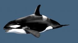 orca dxf 3d models | Page 1 | STLFinder