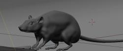 rat model 【 STLFinder