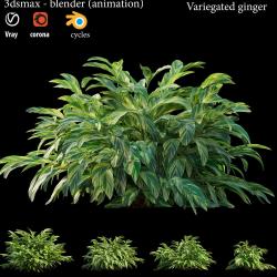 animated ginger 3D Models | Page 1 | STLFinder