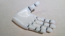 flexy hand 3D Models | Page 1 | STLFinder