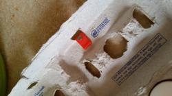 boiled one drawing 3D Models | Page 1 | STLFinder