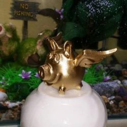 flying pig designer 1 3d models 【 STLFinder