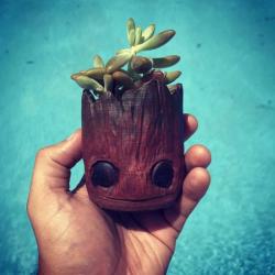 groot plants 3d models 【 STLFinder