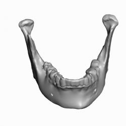 human mandible 3D Models | Page 1 | STLFinder