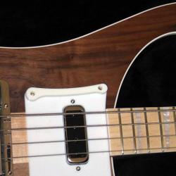 zero mod thumb rest for rickenbacker 3D Models | Page 1 | STLFinder
