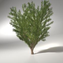 rhinoceros 3d 8 crack download | Page 1 | STLFinder