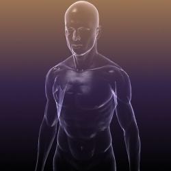 shape of human body 3D Models | Page 1 | STLFinder