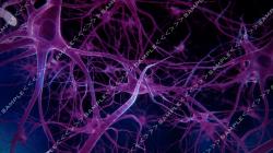 mahogany guitars stock images 3D Models | Page 1 | STLFinder