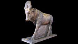 bull apis 3D Models | Page 1 | STLFinder