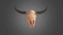 steer skull pocket knife sheeth 3D Models | Page 1 | STLFinder