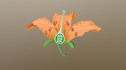 3d pot bunga 【 STLFinder