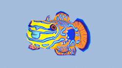 Mandarin Fish 3D Models | Page 1 | STLFinder