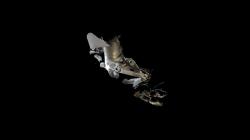 mlg gif 3d models 【 STLFinder