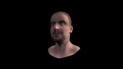 human head stl file 3d models 【 STLFinder