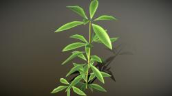 basic human game ready rig maya 3D Models | Page 1 | STLFinder