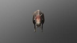 entelodonts 3D Models | Page 1 | STLFinder