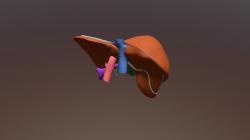 human liver cell 3D Models | Page 1 | STLFinder