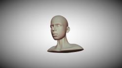 anime head reference 3d models 【 STLFinder