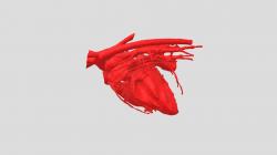 Dog heart 3D Models | Page 1 | STLFinder