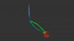 chimpanzee skeleton 3d models | Page 1 | STLFinder