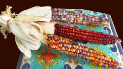 south american eco art piece plant based polymer maize spiritual ...