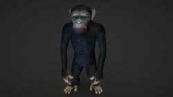 simio models 【 STLFinder