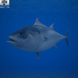 bluefin tuna 3d model | Page 1 | STLFinder