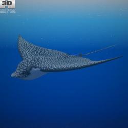blue spotted ray 3D Models | Page 1 | STLFinder