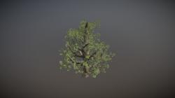 speedtree modeler crack | Page 1 | STLFinder