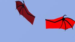 bat wings 3D Models | Page 1 | STLFinder