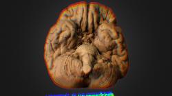 anaglifo 3d shader | Page 1 | STLFinder