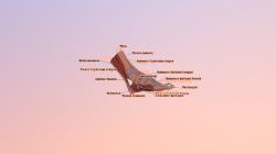 6 foot model | Page 1 | STLFinder