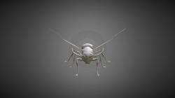 insecte 3D Models | Page 1 | STLFinder