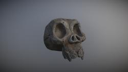 stone skull 3D Models | Page 1 | STLFinder