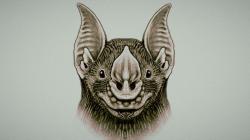 Mini Glyos Bat Head 3D Models | Page 1 | STLFinder