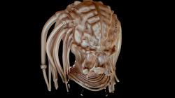 predator model | Page 1 | STLFinder