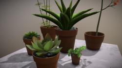 plant obj 3D Models | Page 1 | STLFinder