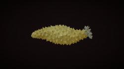 sea cucumber splatoon 3D Models | Page 1 | STLFinder