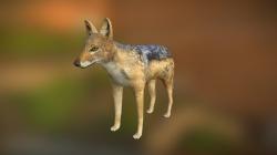 jackal knife buffy 3d models 【 STLFinder