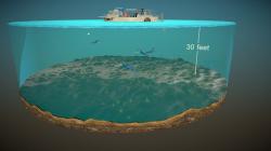 columia montrail molokini women 3D Models | Page 1 | STLFinder