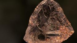 hidden bunker weapon blueprints locations 3D Models | Page 1 | STLFinder