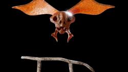 5e imp 3d models 【 STLFinder