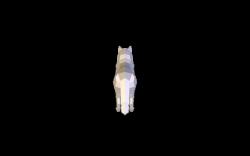 wolfy 3d models 【 STLFinder