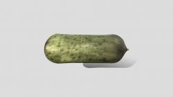 cucumber 3d models 【 STLFinder