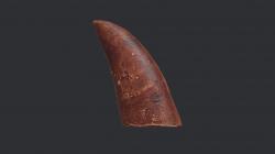 dinosaur tooth size 3D Models | Page 1 | STLFinder