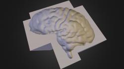 brain mold 3D Models | Page 1 | STLFinder