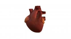 cadnav 3D Models | Page 1 | STLFinder