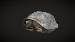 galapagos tortoise 3D Models | Page 1 | STLFinder