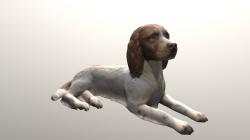 springer spaniel 3d models 【 STLFinder
