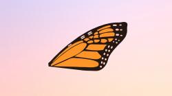 almost unbroken deep brown upper wings male butterfly 3D Models | Page ...